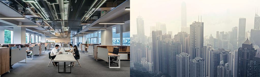 tml Partners source Paid Media Manager in New York for building ...